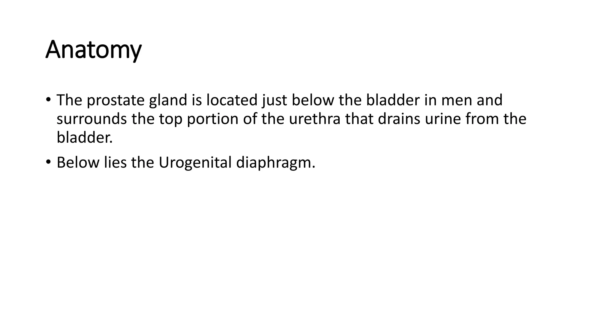 Prostate.pptx