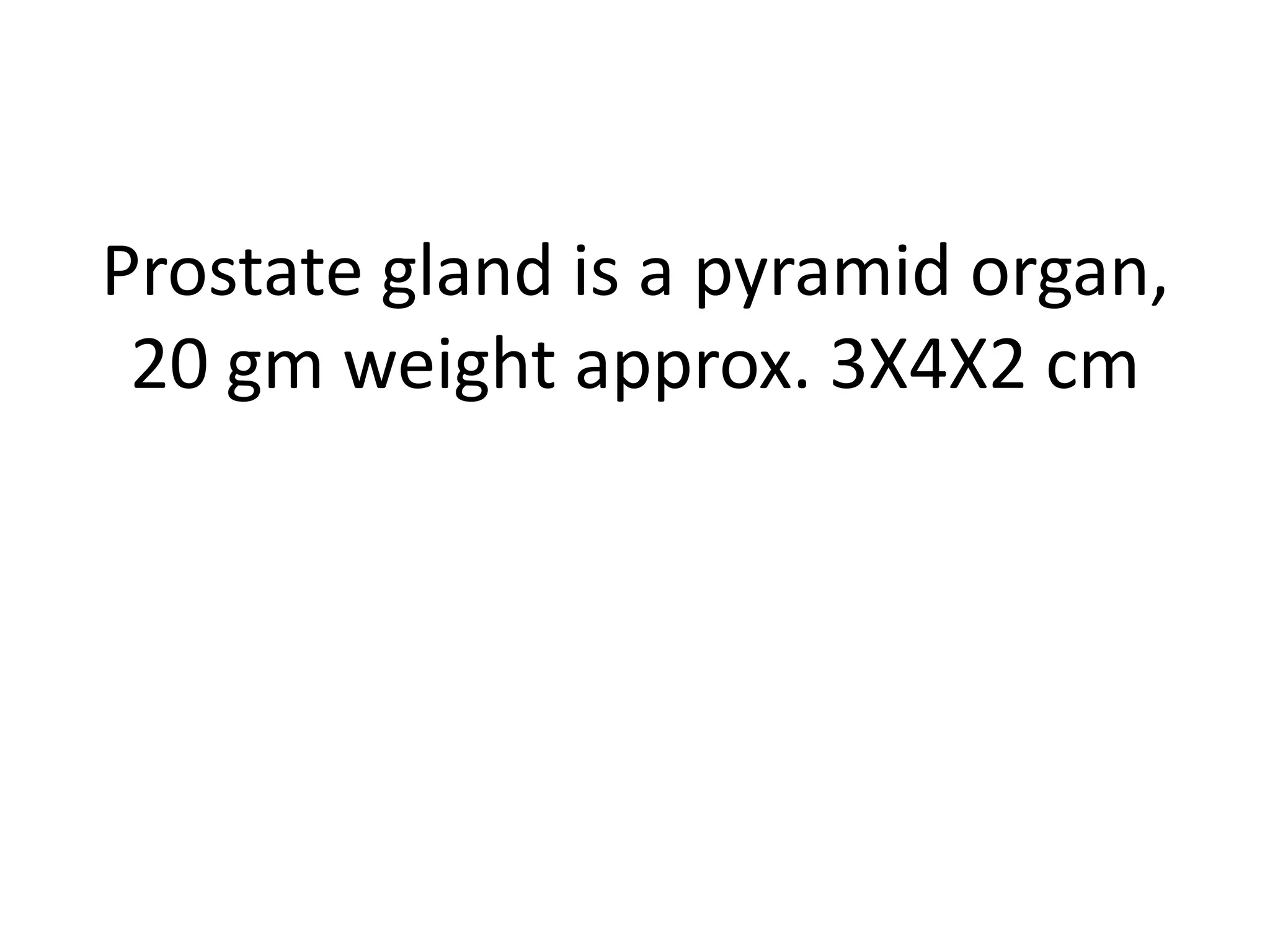 Prostate anatomy | PPTX