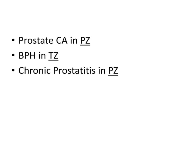Prostate Anatomy Ppt