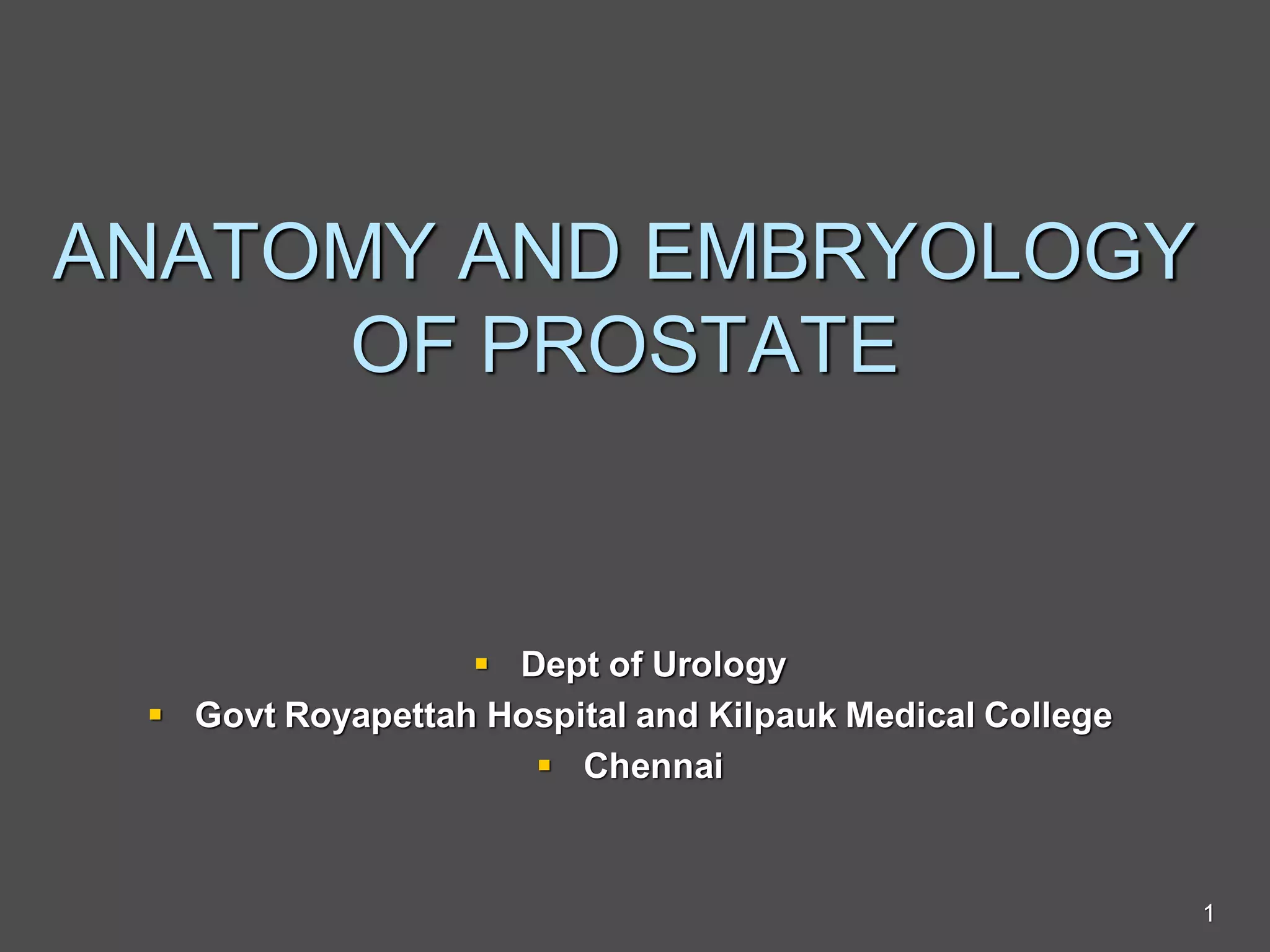 Prostate anatomy, embryology | PDF