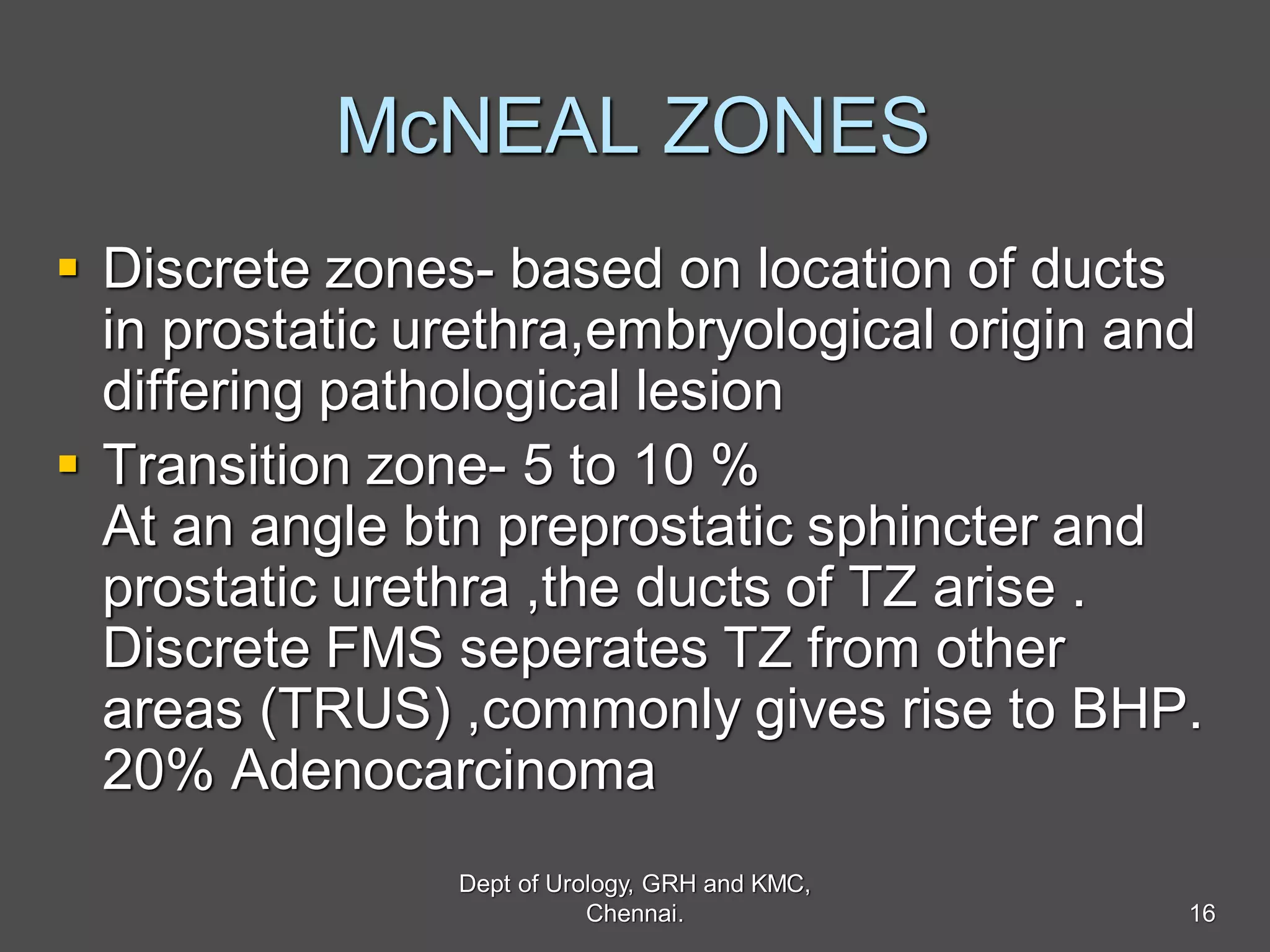 Prostate anatomy, embryology | PDF | Pregnancy | Reproductive Health