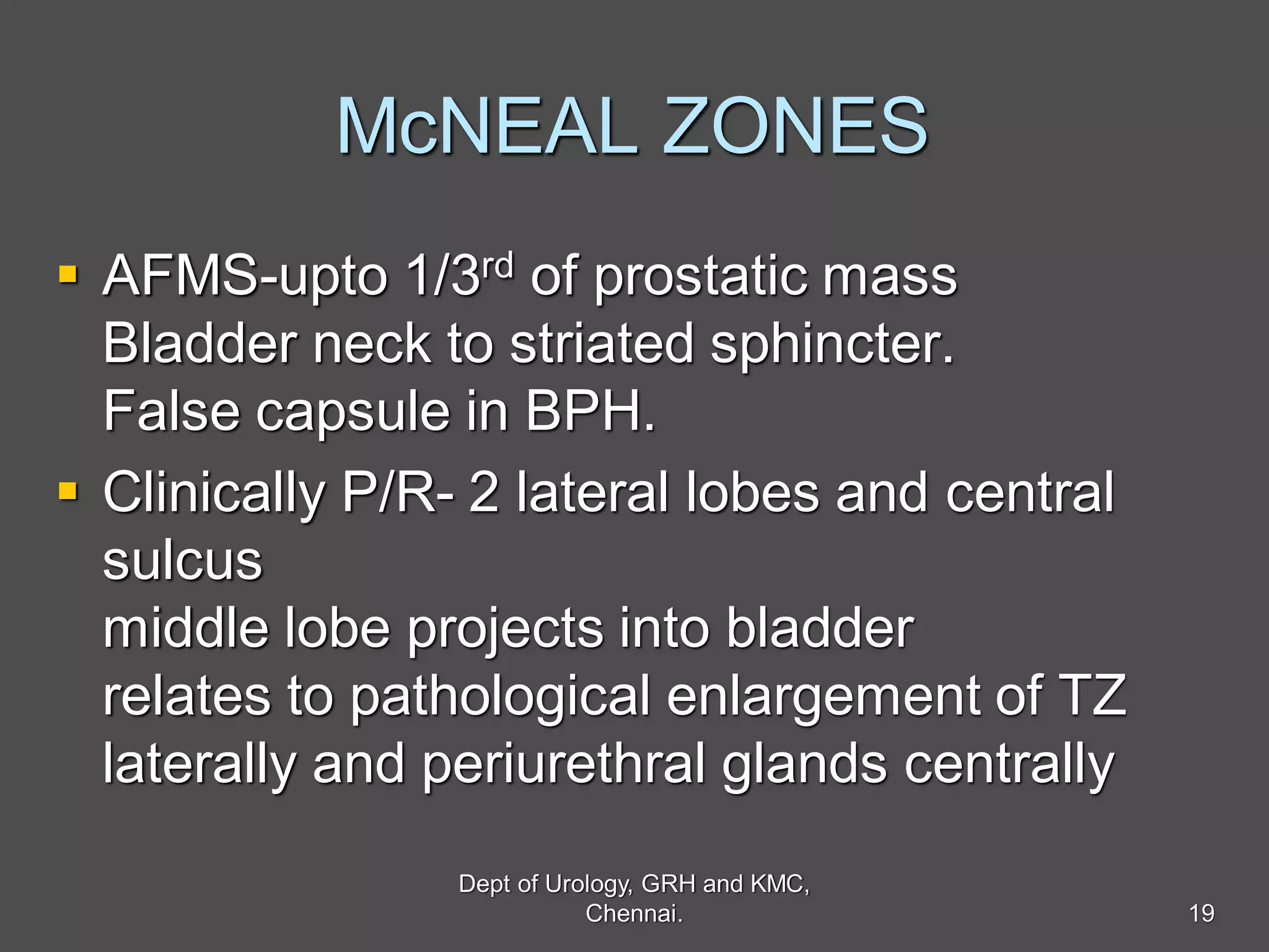 Prostate anatomy, embryology | PDF