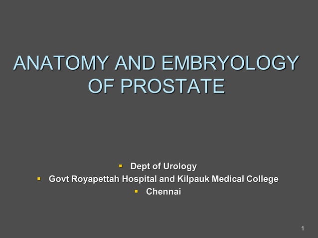 Prostate anatomy, embryology | PDF | Pregnancy | Reproductive Health