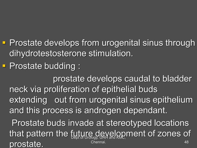 Prostate anatomy, embryology | PDF | Pregnancy | Reproductive Health