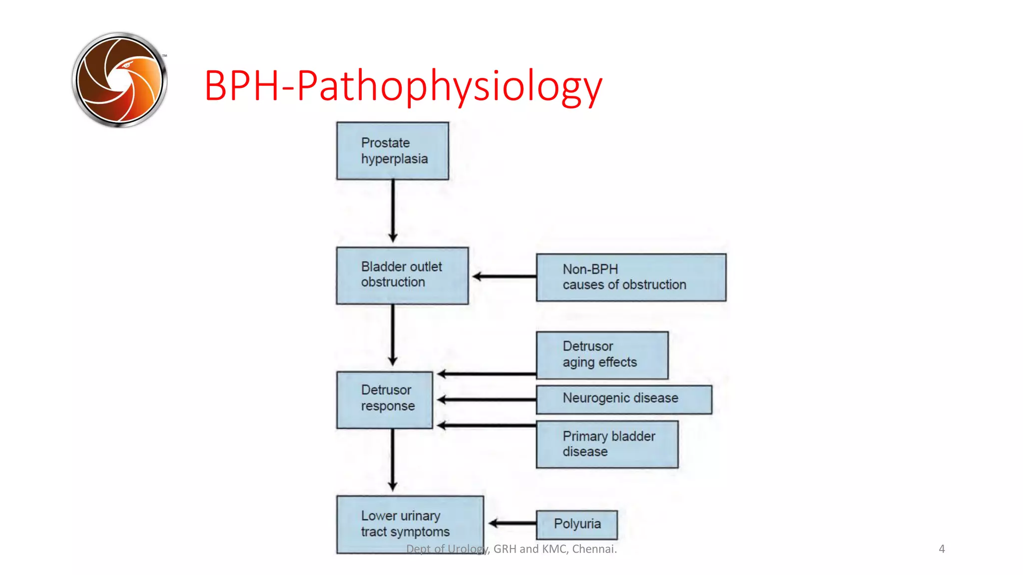 Prostate Benign Prostatic Hyperplasia(BPH)- overview | PDF