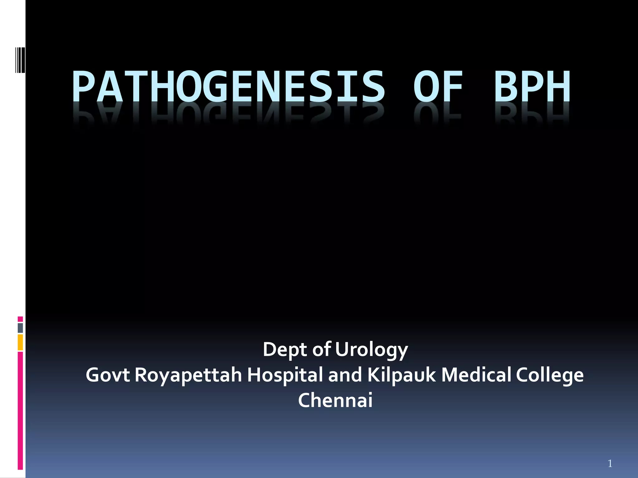 Prostate BPH- pathophysiology | PDF