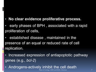Prostate BPH- pathophysiology | PDF