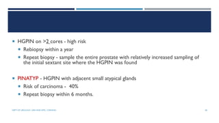 Prostate carcinoma- etiopathogenesis | PDF