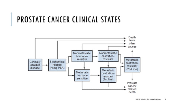 Prostate carcinoma- locally advanced | PDF | Endocrine and Metabolic ...