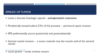 Prostate carcinoma- pathology and staging | PDF