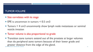 Prostate carcinoma- pathology and staging | PDF