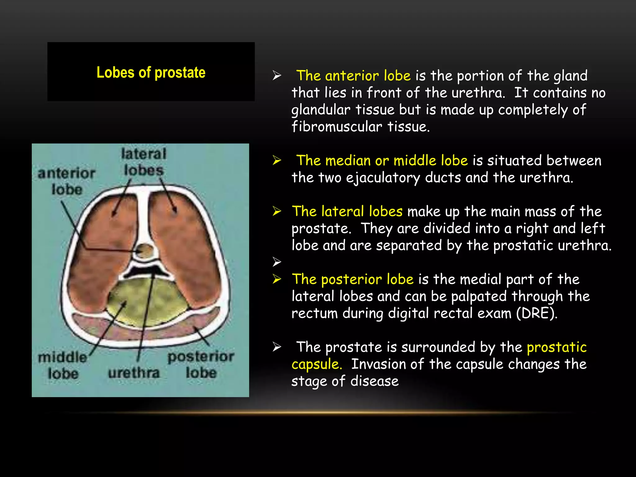 Prostate grossing and reporting | PPTX