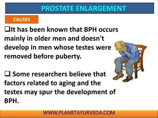 Prostate - Presentation | PPTX