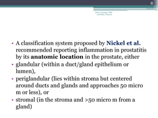 Prostate prostatitis,cpps,ic | PDF