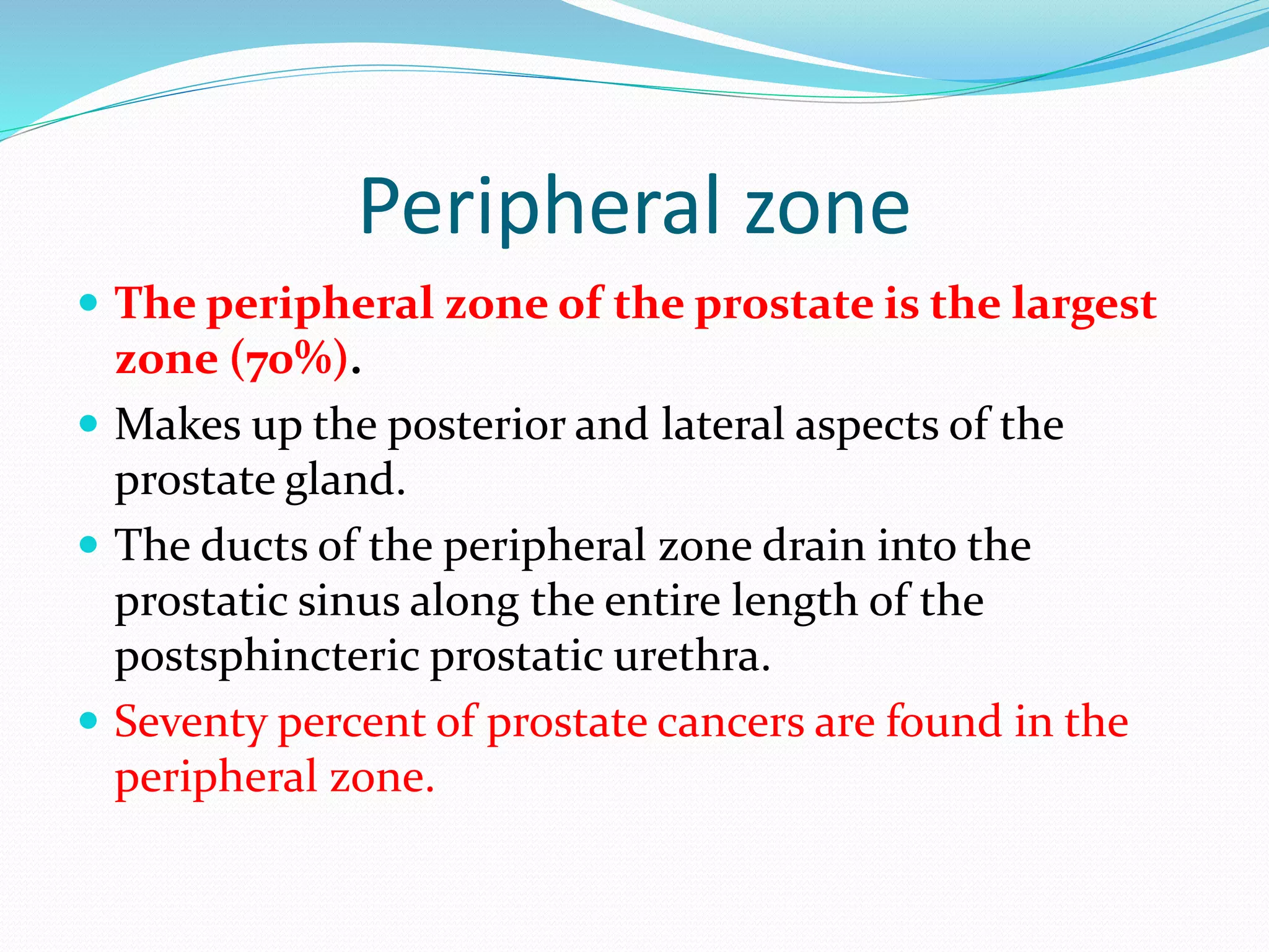 Prostate anatomy | PPTX