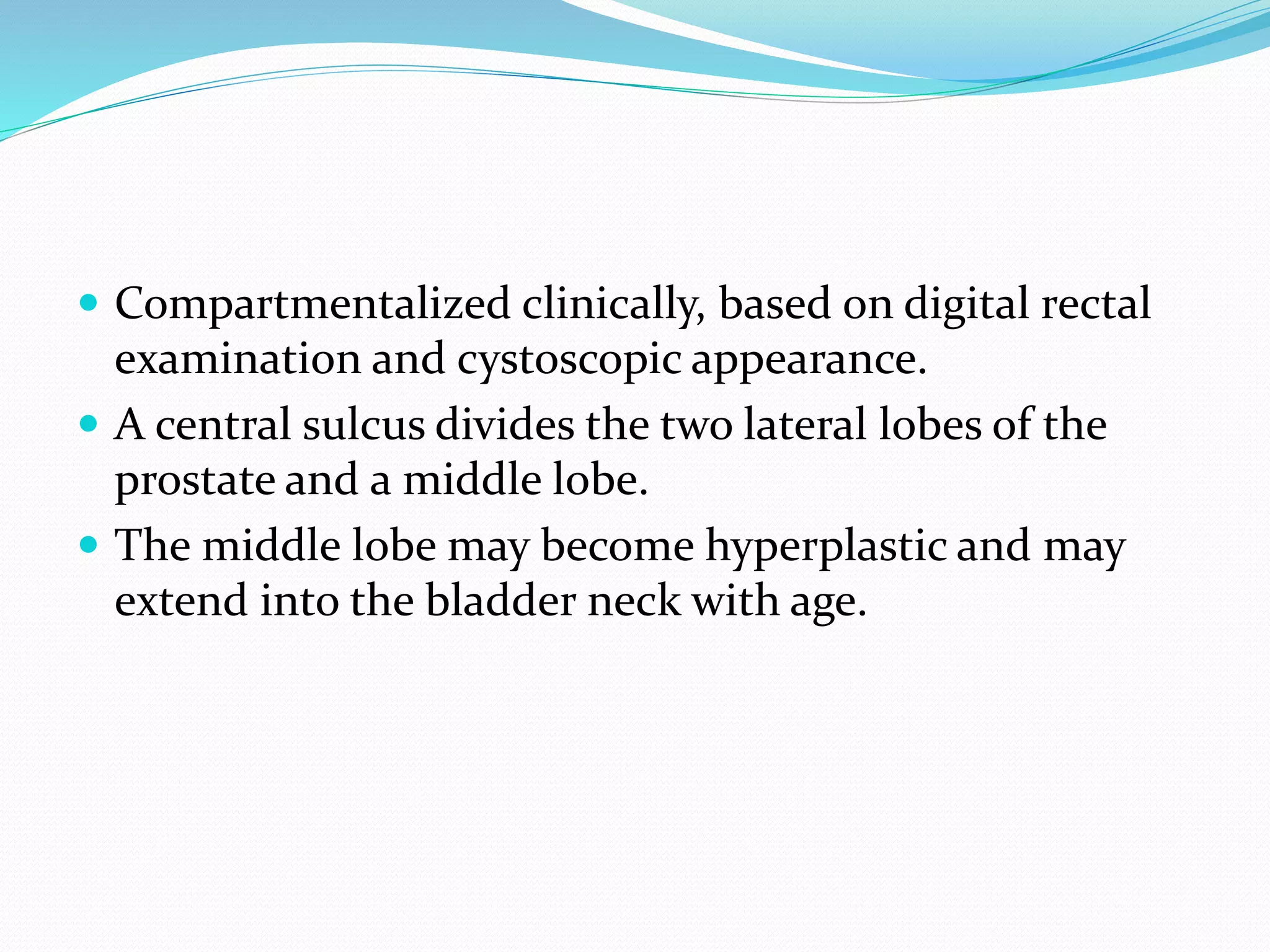 Prostate anatomy | PPTX | Sexual Conditions | Sexual Health