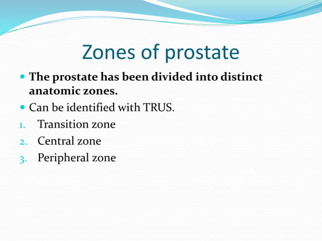 Prostate anatomy | PPTX | Sexual Conditions | Sexual Health