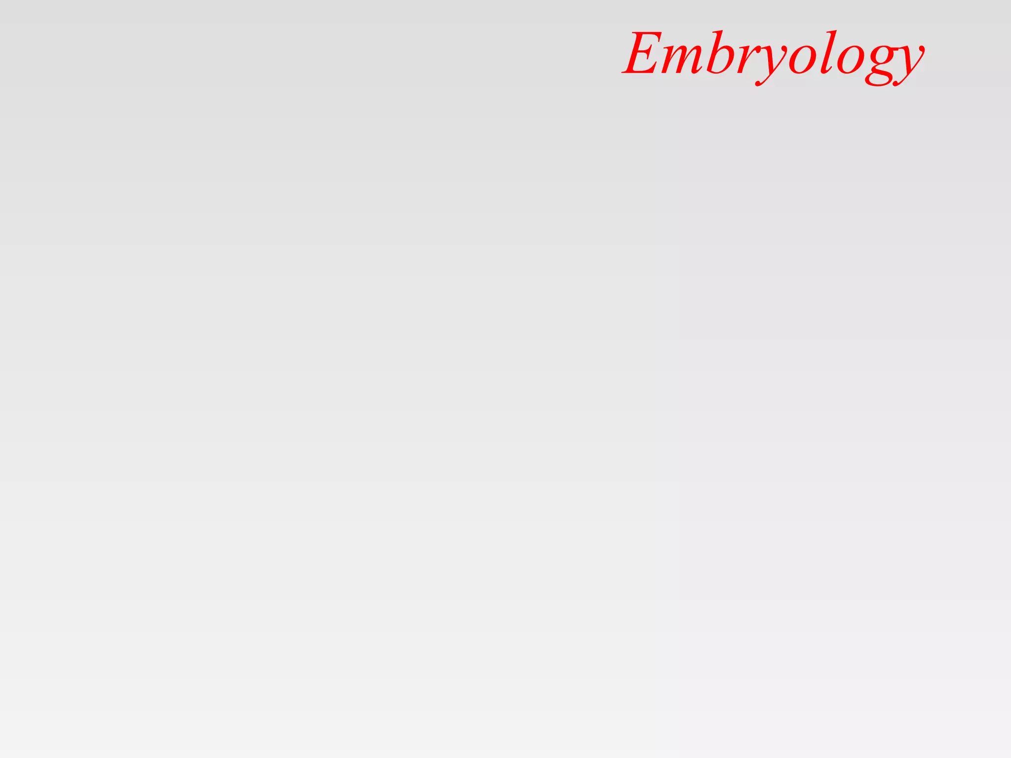 Prostate Anatomy.pptx