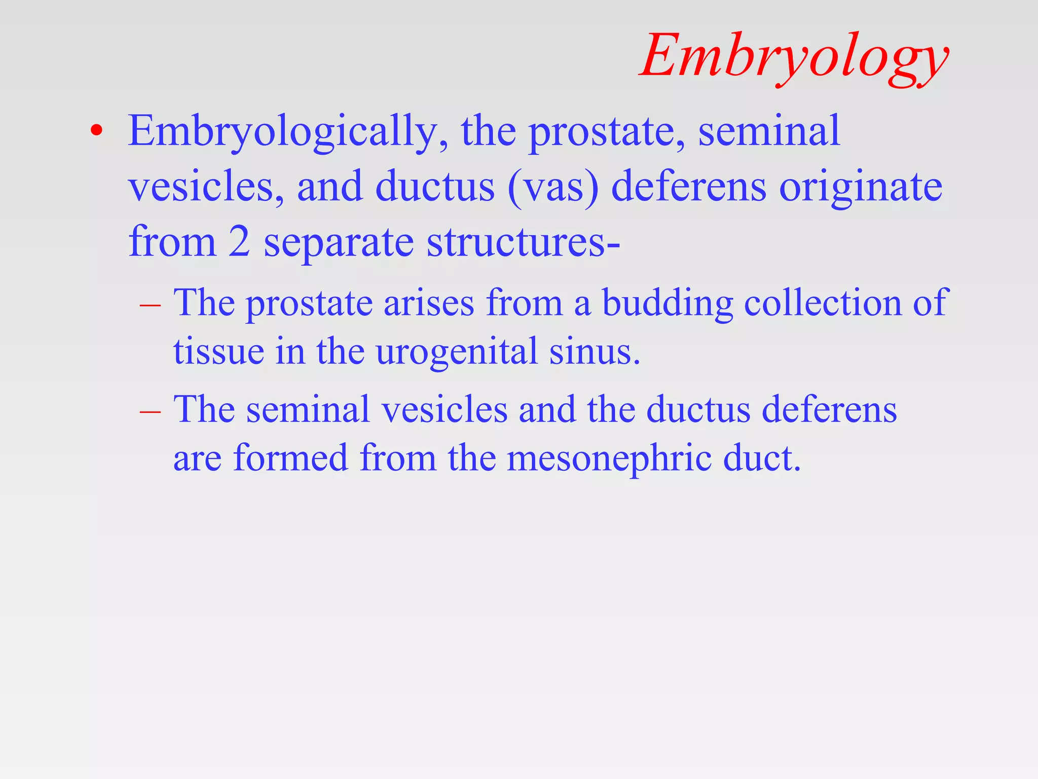 Prostate Anatomy.pptx