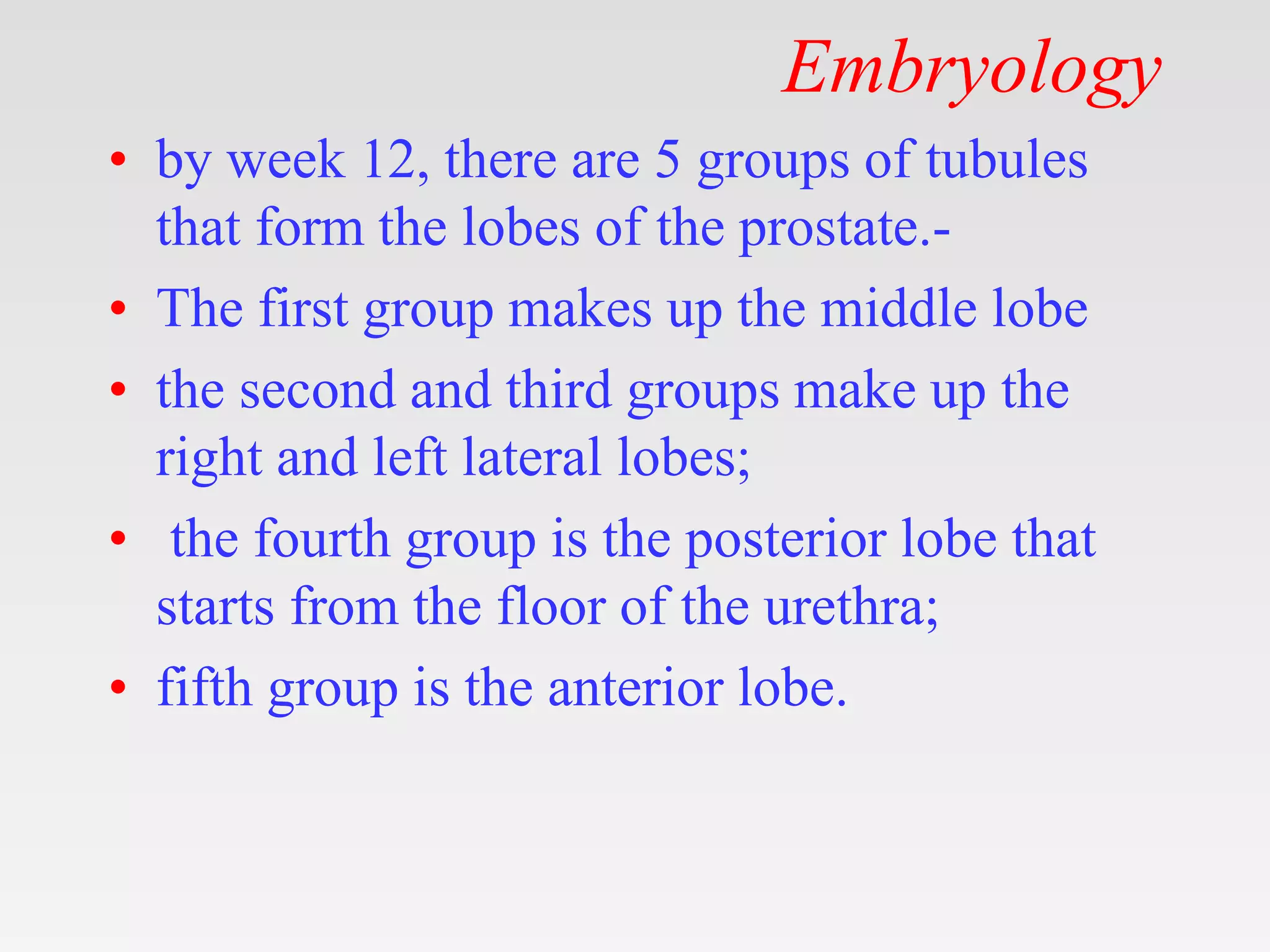 Prostate Anatomy.pptx