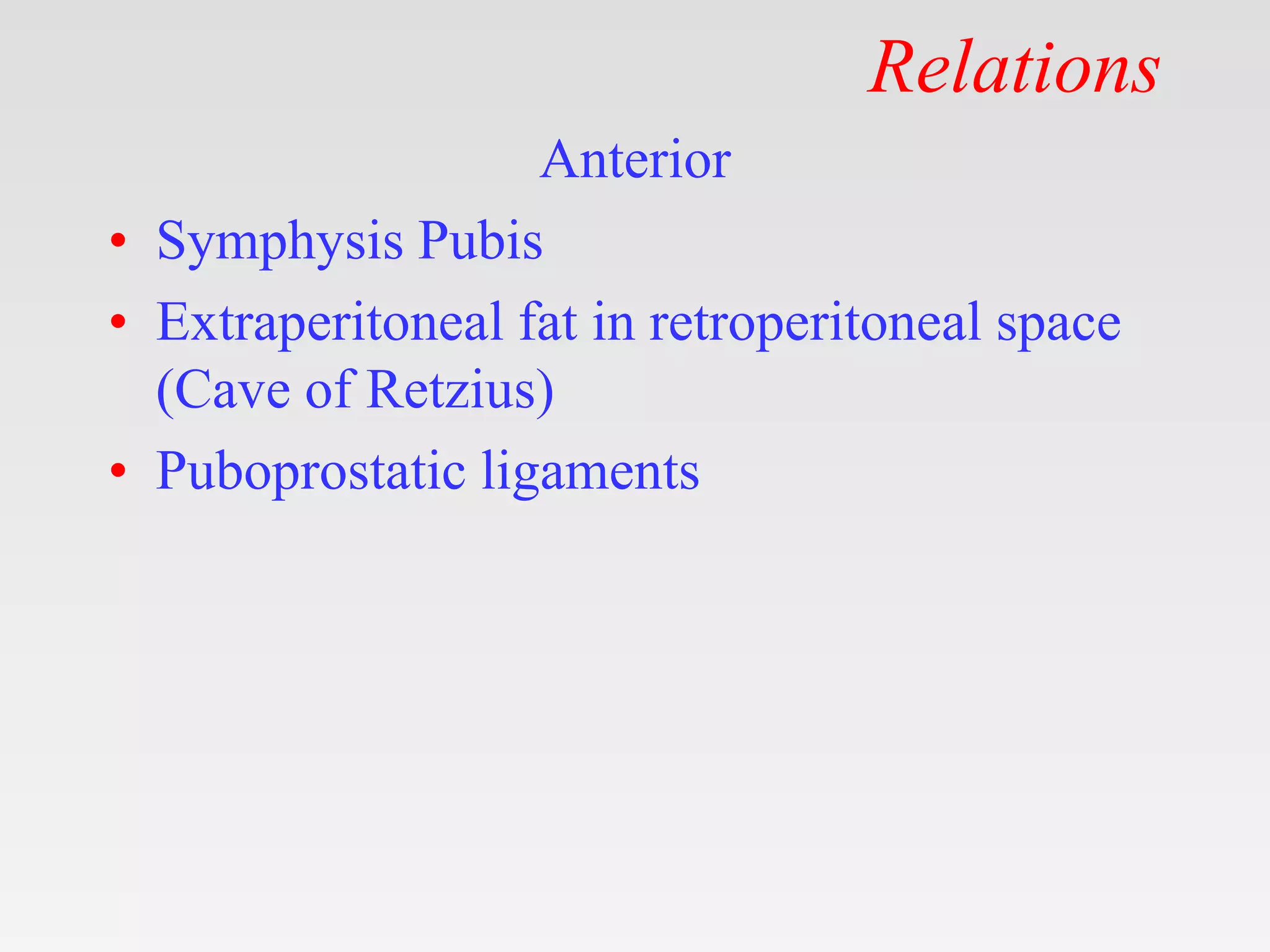 Prostate Anatomy.pptx
