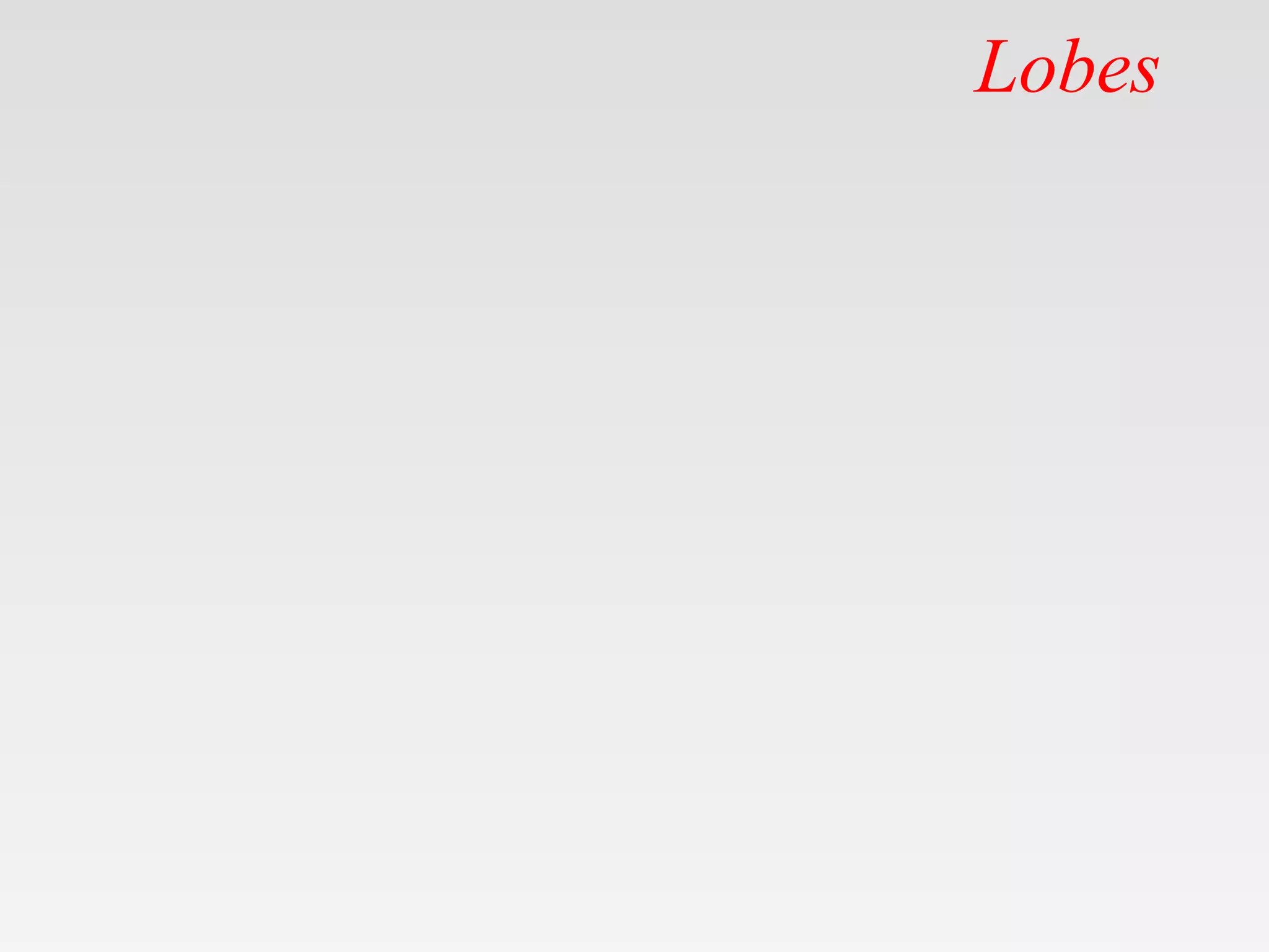 Prostate Anatomy.pptx