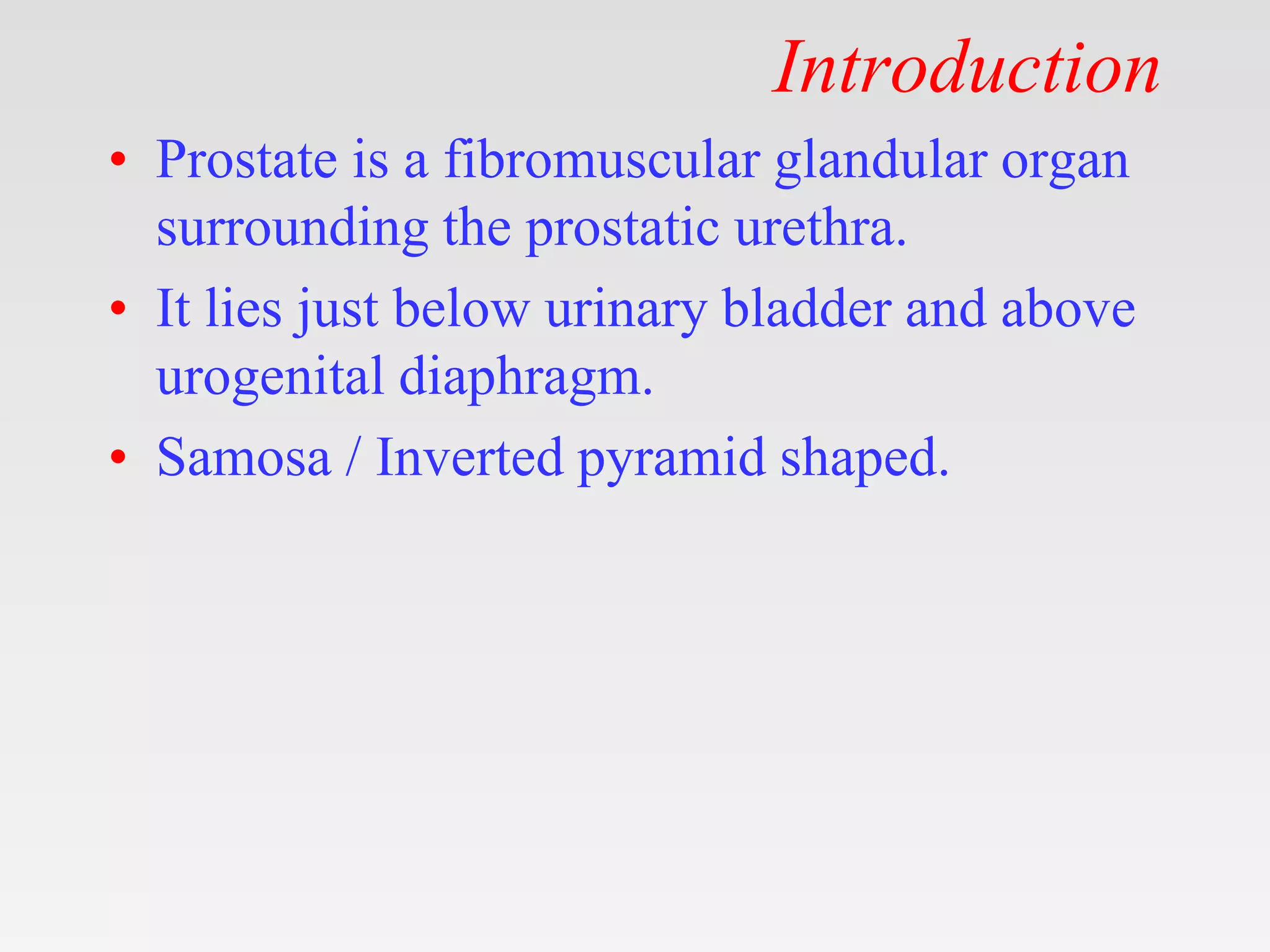 Prostate Anatomy.pptx