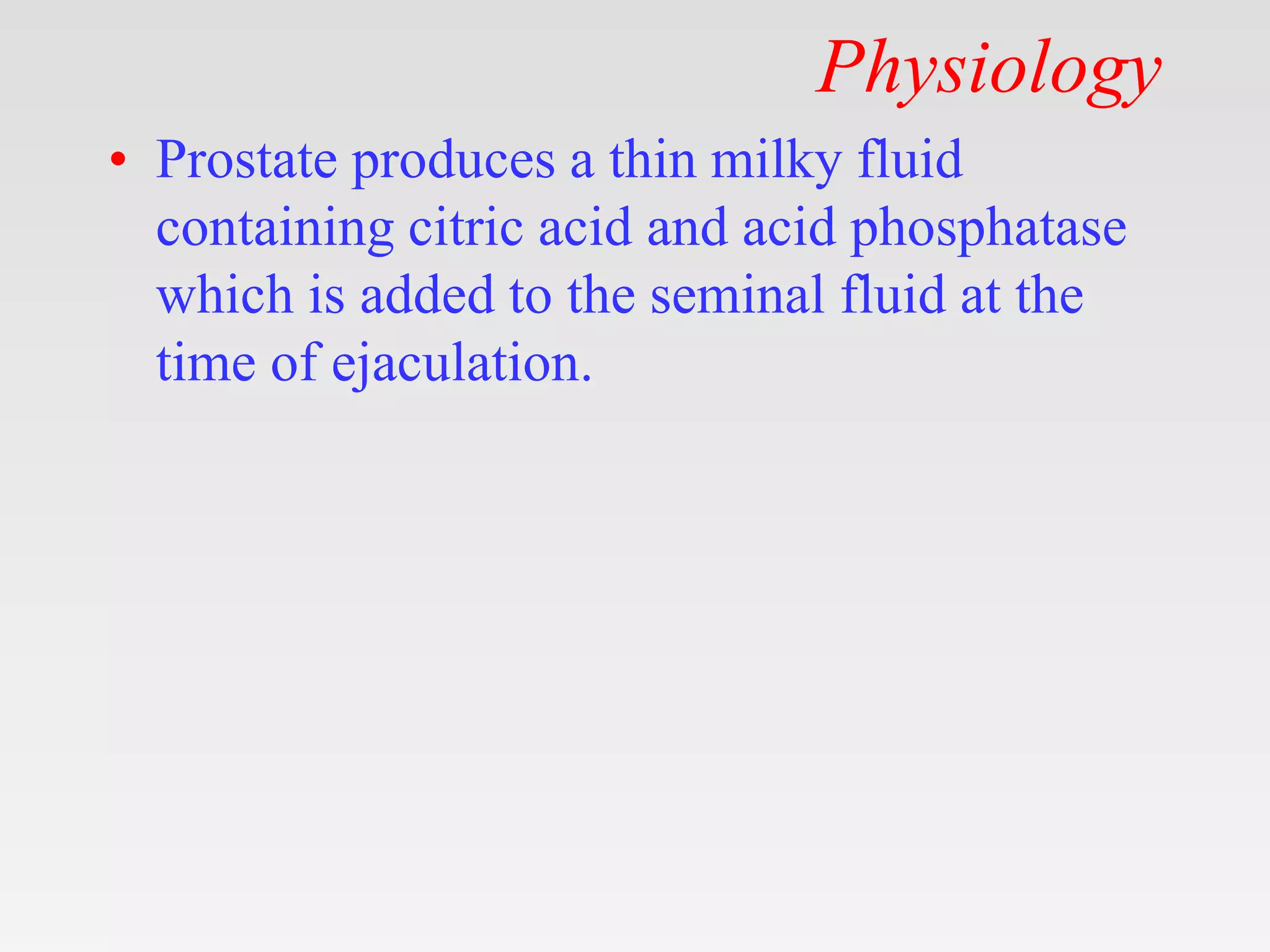 Prostate Anatomy.pptx