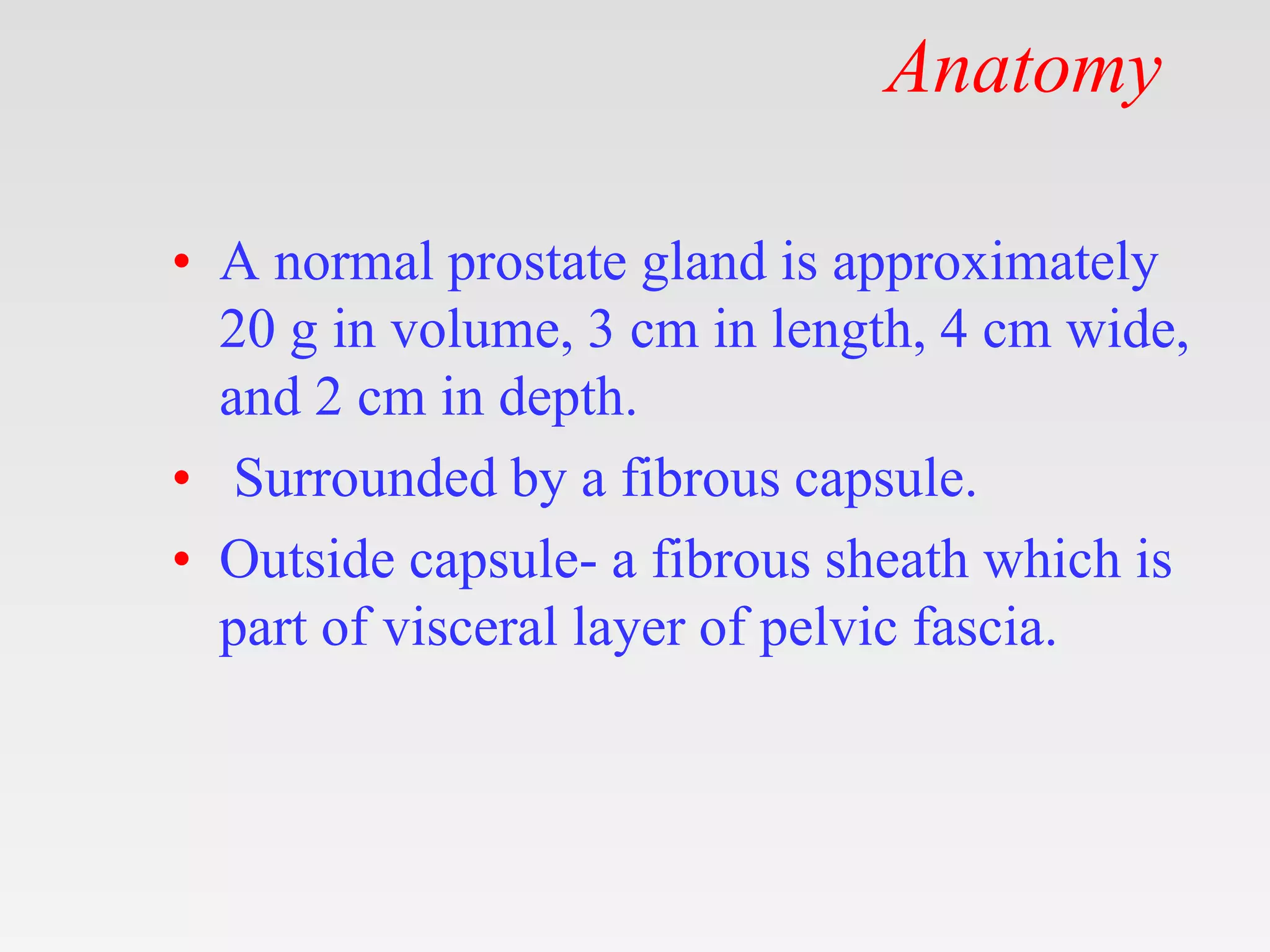 Prostate Anatomy.pptx