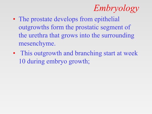 Prostate Anatomy.pptx