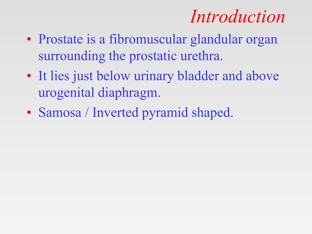 Prostate Anatomy.pptx