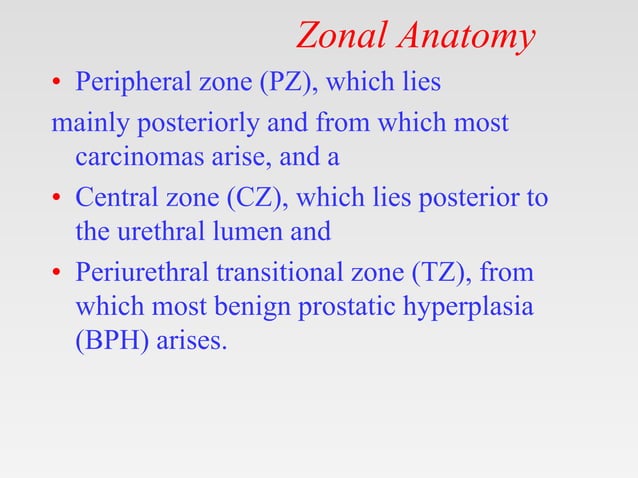 Prostate Anatomy.pptx