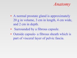 Prostate Anatomy.pptx