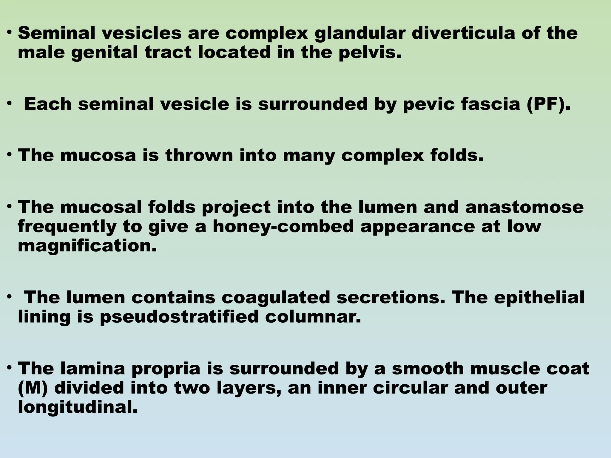 prostate & Seminal Vesicles Strc Func.ppt