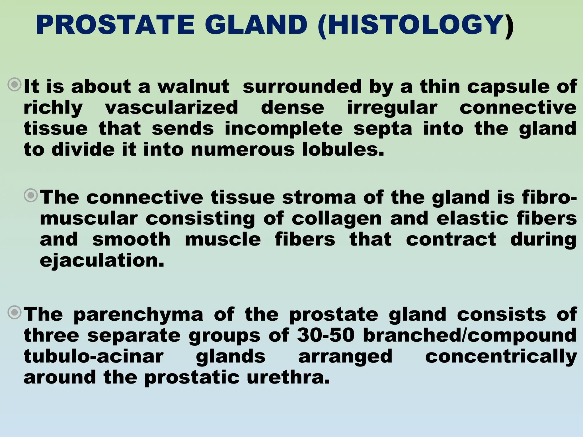 prostate & Seminal Vesicles Strc Func.ppt