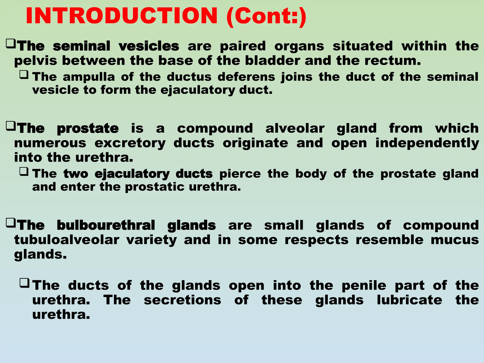 prostate & Seminal Vesicles Strc Func.ppt