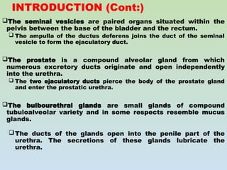 prostate & Seminal Vesicles Strc Func.ppt