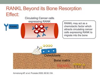Bone Health in Prostate Cancer Patients. | PPTX