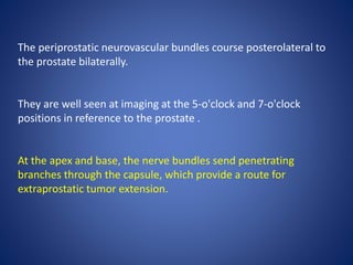 Prostate carcinoma raiology | PPTX