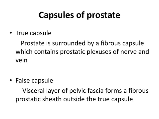 anatomy of Prostate and prostate carcinoma | PPTX | Cancer | Diseases ...