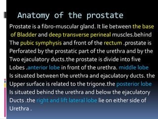 Prostate cancer | PPT