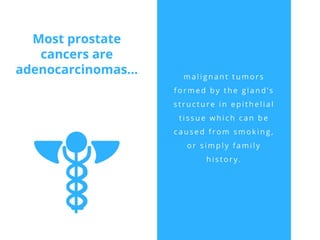 Understanding Prostate Cancer | PDF