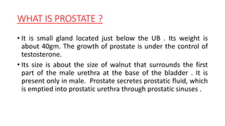 Prostate cancer | PPTX