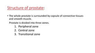 Prostate cancer | PPTX