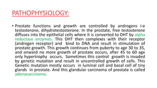 Prostate cancer | PPTX