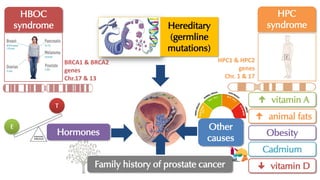 Prostate cancer | PDF