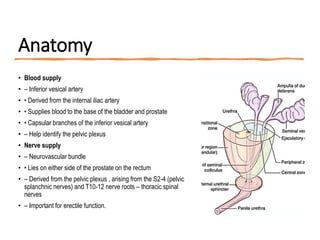 Prostate Cancer.pptx for healthcare professionals | PPTX
