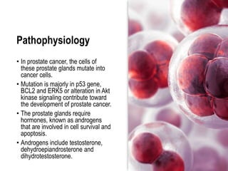 Prostate Cancer.pptx for healthcare professionals | PPTX