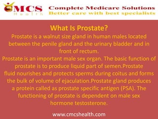 Prostate cancer symptoms diagnosis and treatment. | PPTX
