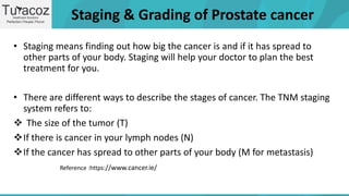Prostate Cancer by Dr Ankita Purkite | PPTX